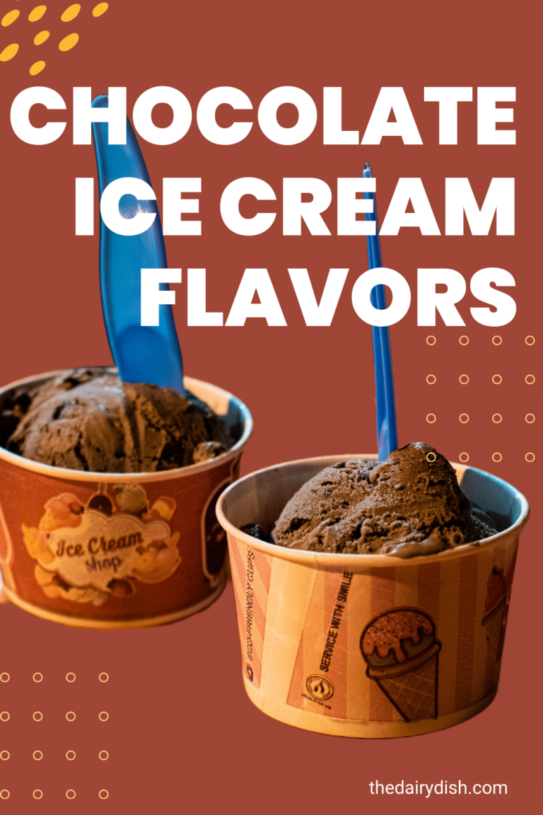Chocolate Ice Cream Flavors: The Classics and Beyond