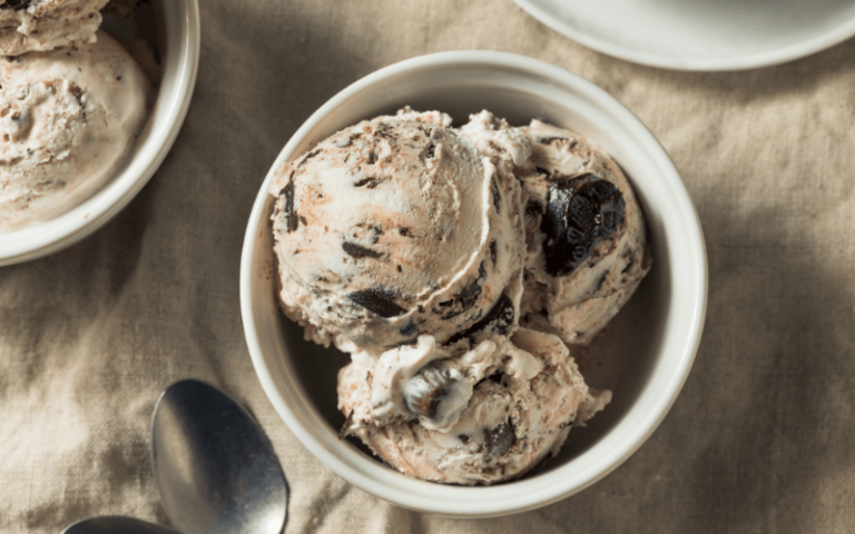 What Is In Moose Tracks Ice Cream? - The Dairy Dish
